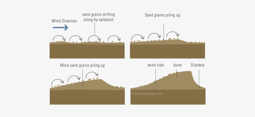 Download How Sand Dunes Form - Sand Dune Formation Diagram ...