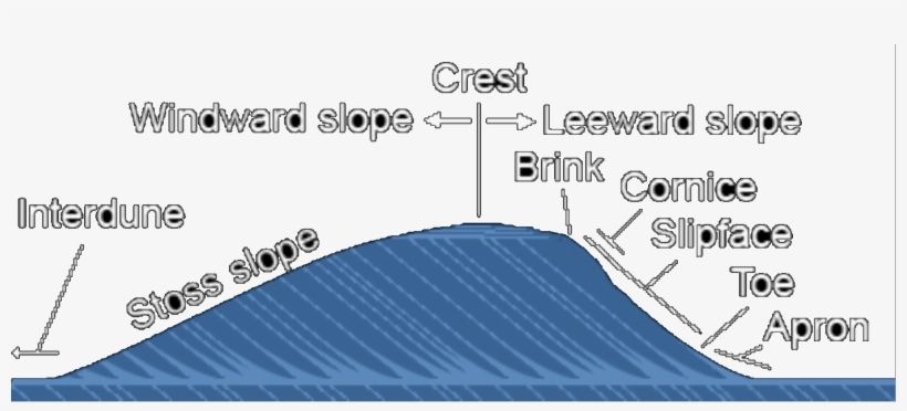 Cross Section Of Sand Dunes With Faces And Beds - Sand PNG Image ...