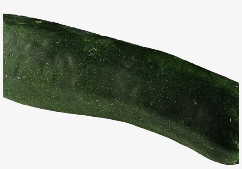 Zucchini Png Image2 - Zucchini PNG Image | Transparent PNG Free ...