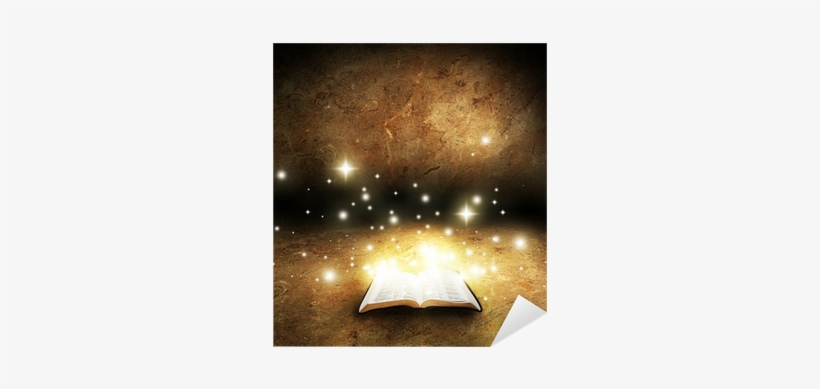 Open Bible PNG Image | Transparent PNG Free Download on SeekPNG