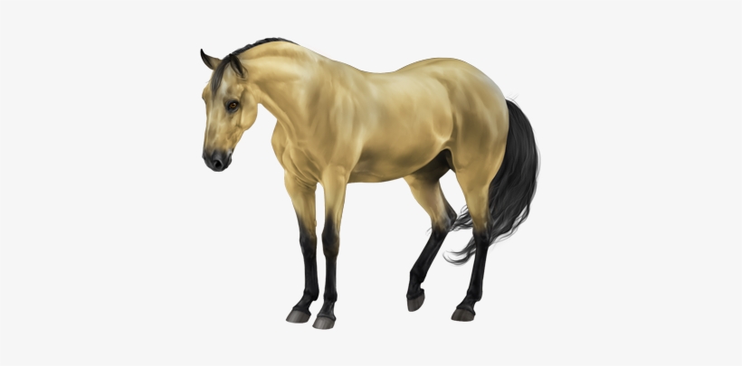 Equiverse Dark Grey PNG Image | Transparent PNG Free Download on SeekPNG