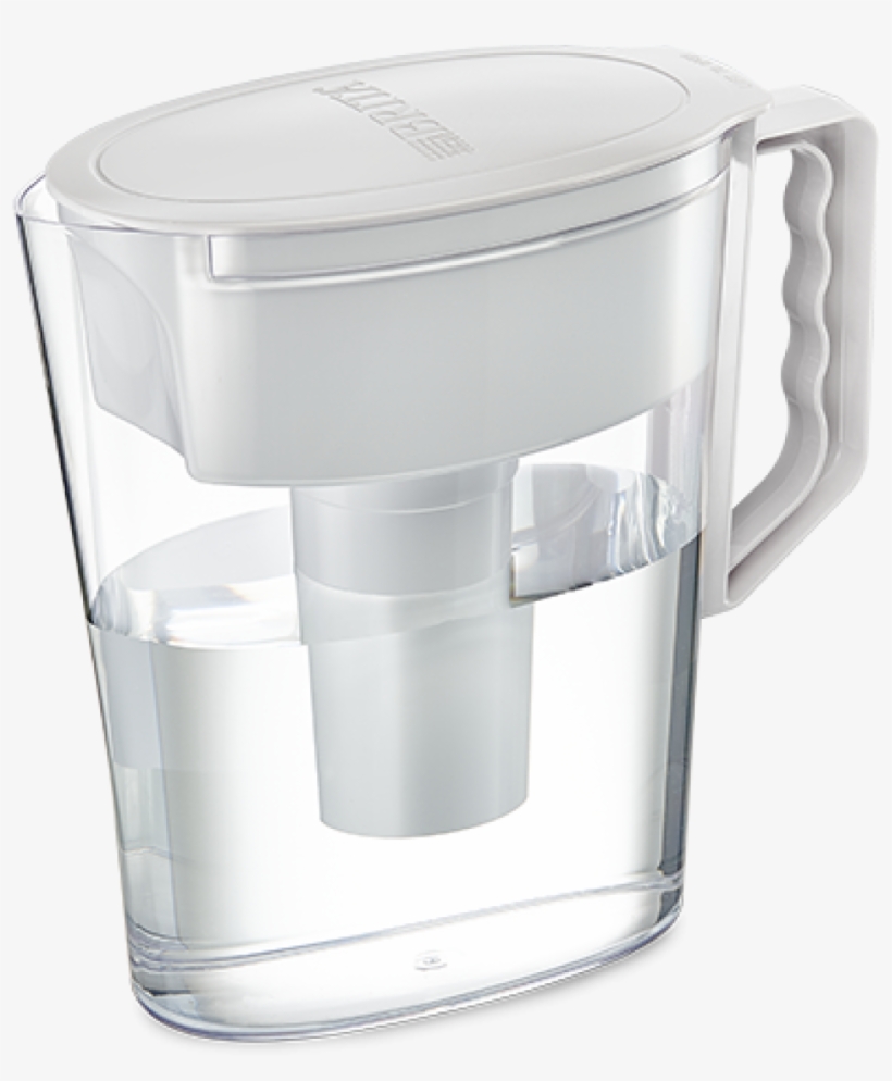 Brita Filter Water For Dogs