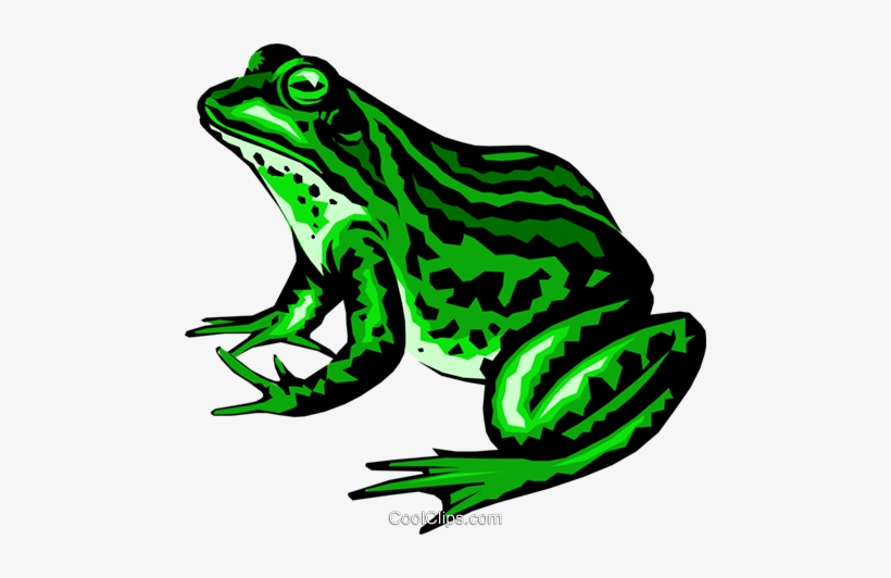 Frog Royalty Free Vector Clip Art Illustration - Frog Clipart PNG Image ...