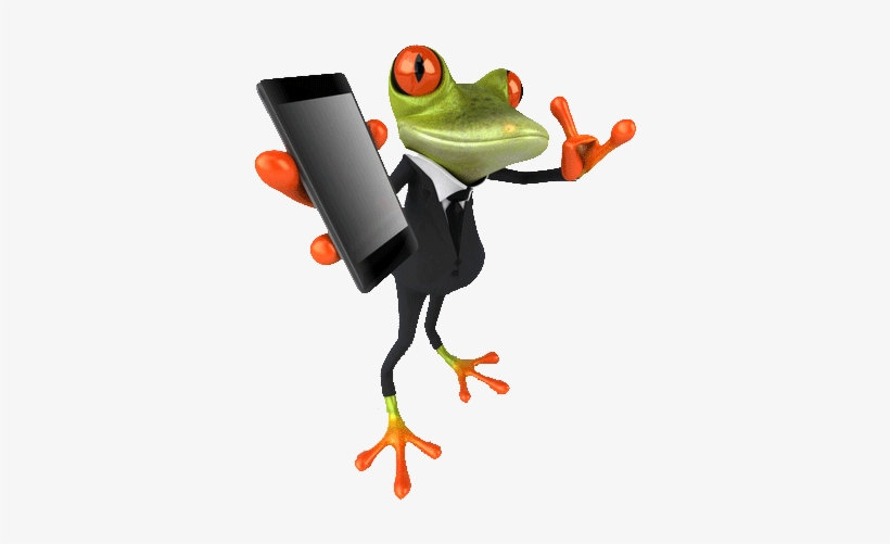 Contact Us Frogs - Red-eyed Tree Frog PNG Image | Transparent PNG Free ...