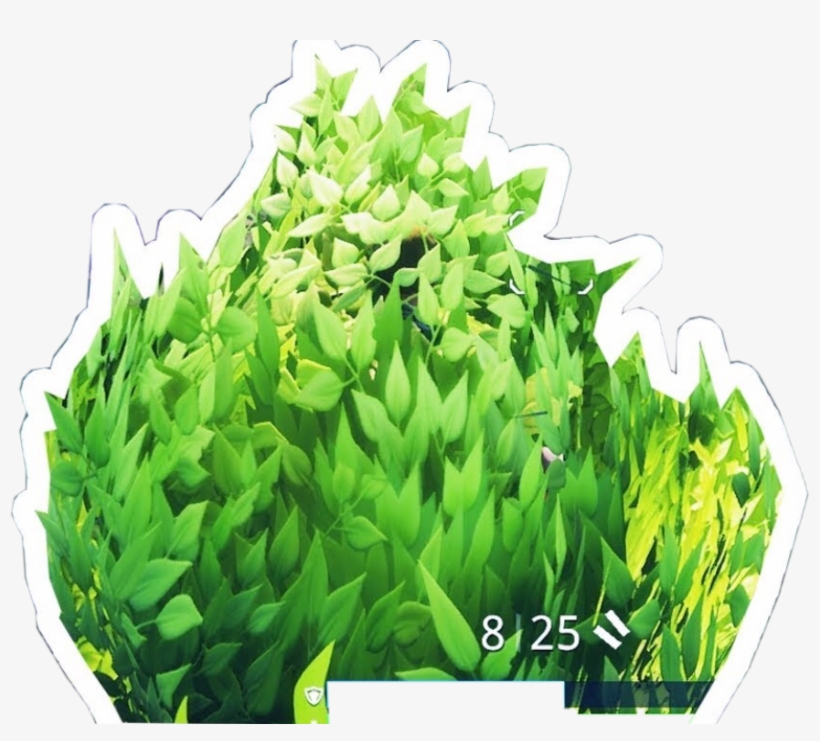 Download Bush Sticker - Fortnite Bush Life Png | Transparent PNG ...