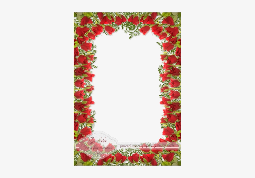 Red Rose Border - Flower Photo Border Design PNG Image | Transparent ...