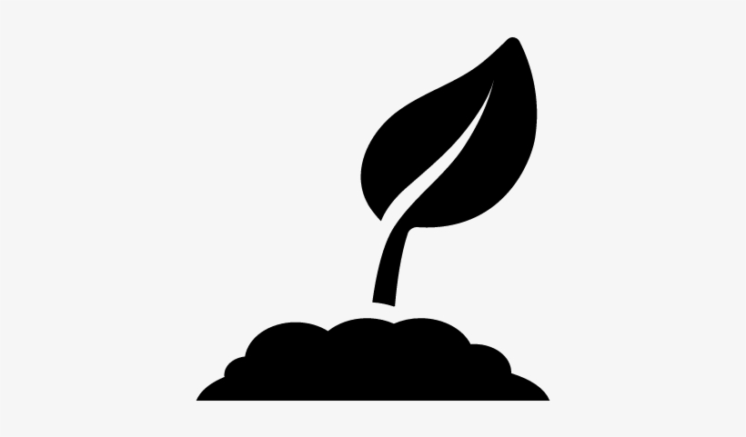 Download Growing Plant Vector - Growing Plant Icon Png | Transparent ...