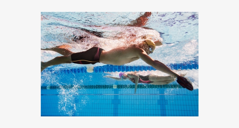 Using Fins Allows You To Move Faster, Which Not Only - Speedo Tech ...