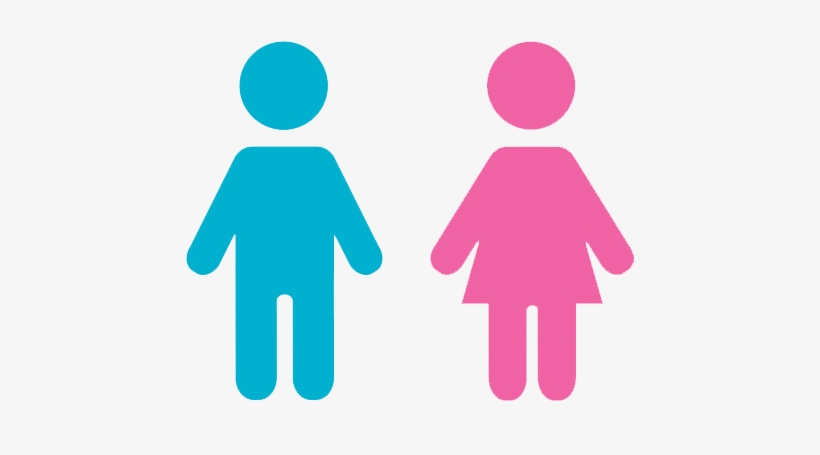 Download Sign Of Girl And Boy | Transparent PNG Download | SeekPNG
