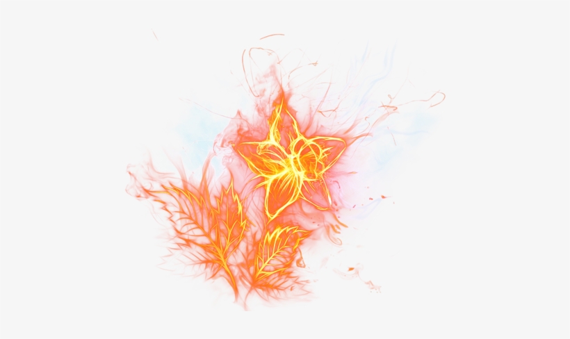 Fire Flowers - Transparent Fire Flower PNG Image | Transparent PNG Free ...