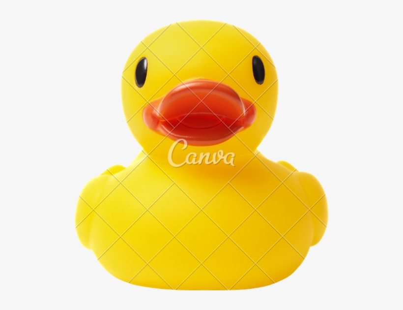 Rubber Duck PNG Image | Transparent PNG Free Download on SeekPNG
