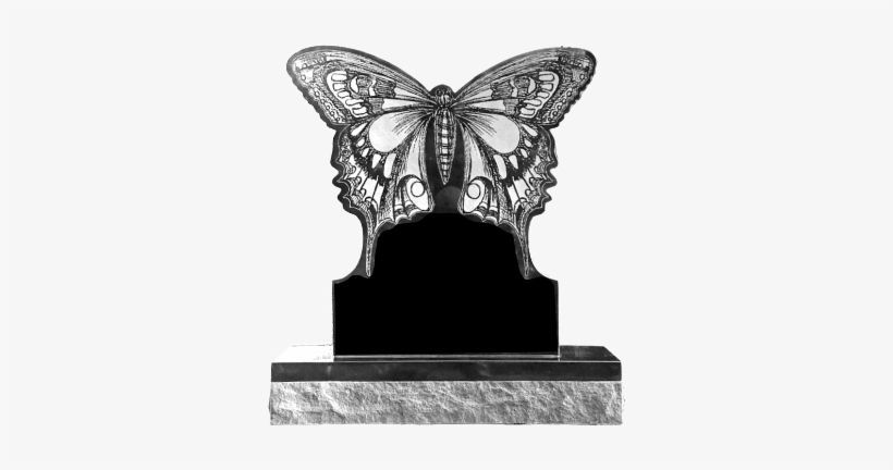 Name - Butterfly 33 PNG Image | Transparent PNG Free Download on SeekPNG