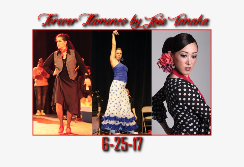 Forever Flamenco By Jose Tanaka - Flamenco PNG Image | Transparent PNG ...