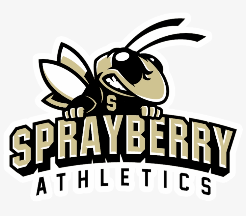 2018-2019 Varsity Basketball Schedules - Sprayberry High School Logo ...