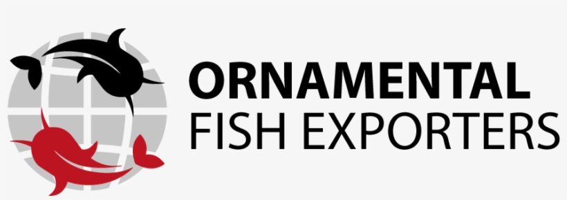 Malaysia Ornamental Fish Exporter PNG Image | Transparent PNG Free ...