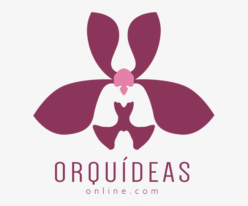 Logo De Orquidea PNG Image | Transparent PNG Free Download on SeekPNG