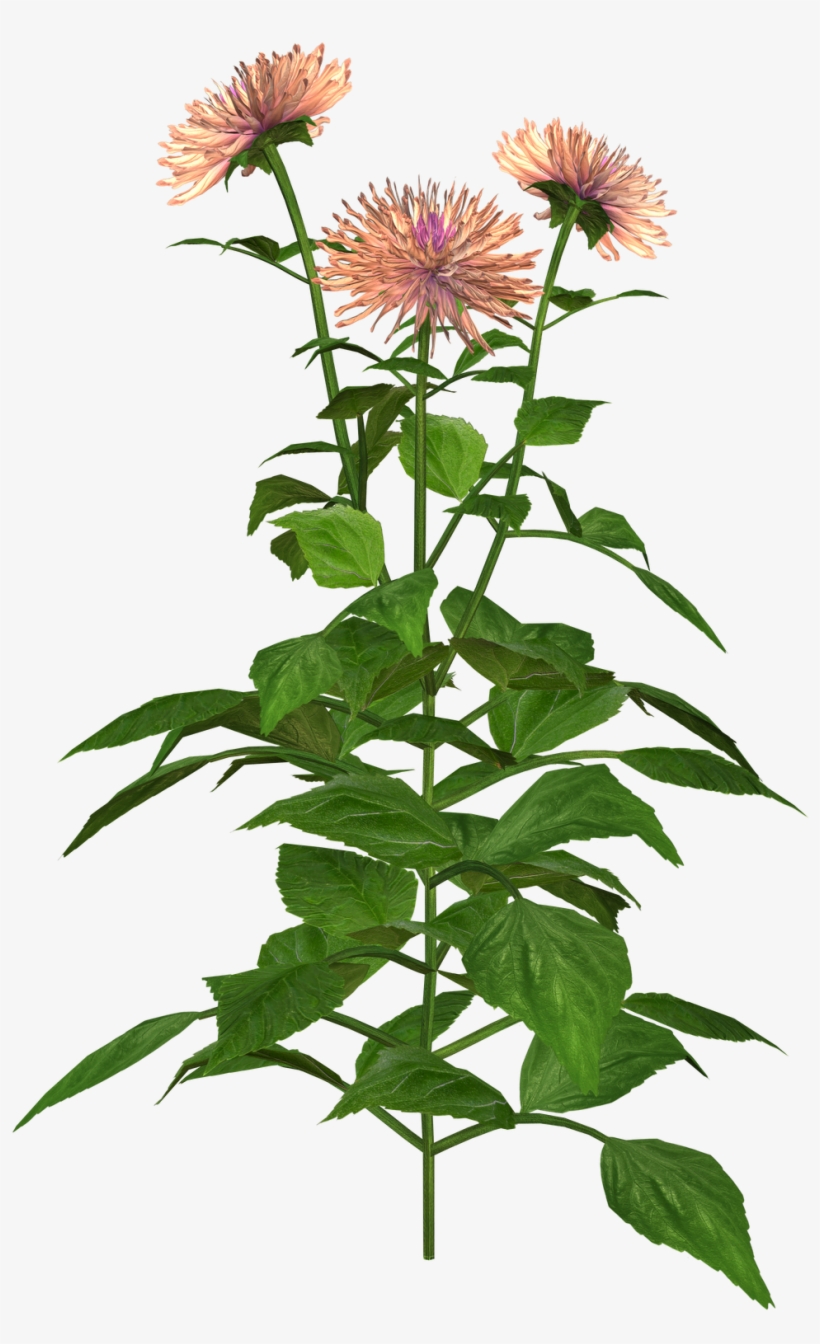 Download Free High Resolution Graphics And Clip Art - Clip Art ...