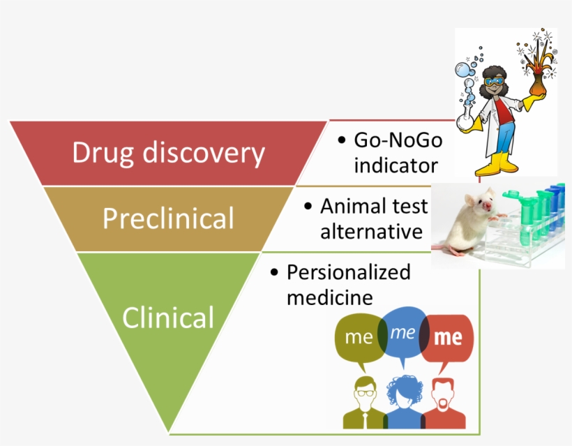 Organ On Chip Value Chain - Design Round Ornament PNG Image ...