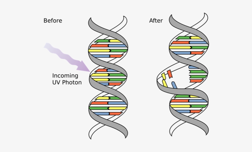 Download Gene Mutation Aliens, Gene Mutation, Cartoon, Alien - Dna ...