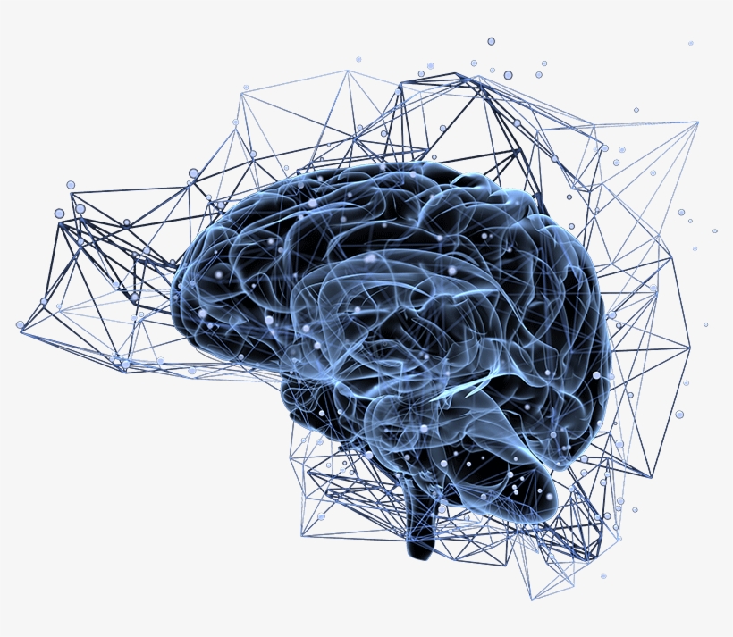 Download Brain Neuro Pathways - Brain | Transparent PNG Download | SeekPNG
