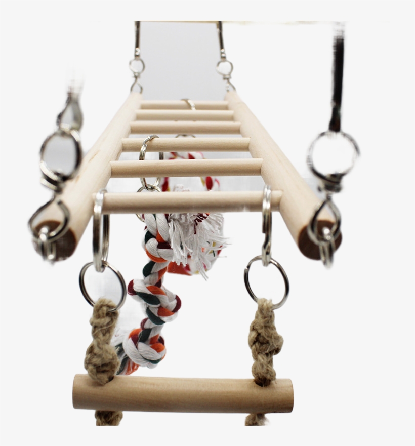 Ran Feng Parrot Bird Cage Scorpio Supplies Climbing - Tonquu Parrot ...