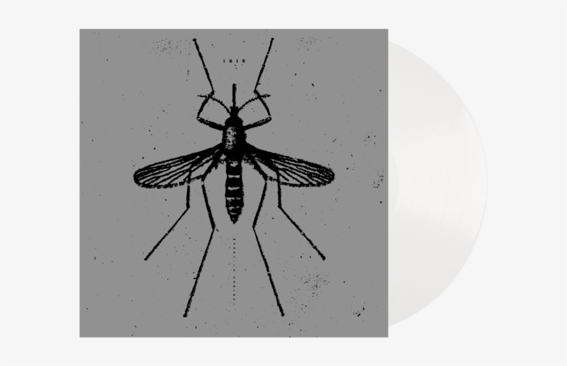 Mosquito Control Vinyl Ep Thumb - Isis The Band Mosquito PNG Image ...