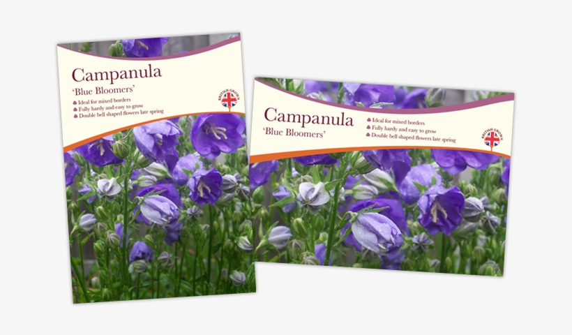 Corex-boards - Spring Crocus PNG Image | Transparent PNG Free Download ...