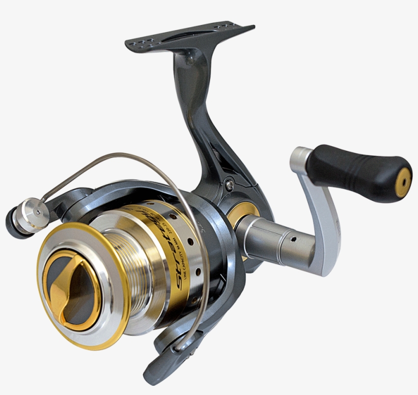 Strategy™ Primary View - Quantum Strategy Reel PNG Image | Transparent ...