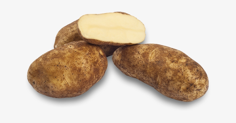 Pomme De Terre Russet PNG Image | Transparent PNG Free Download on SeekPNG