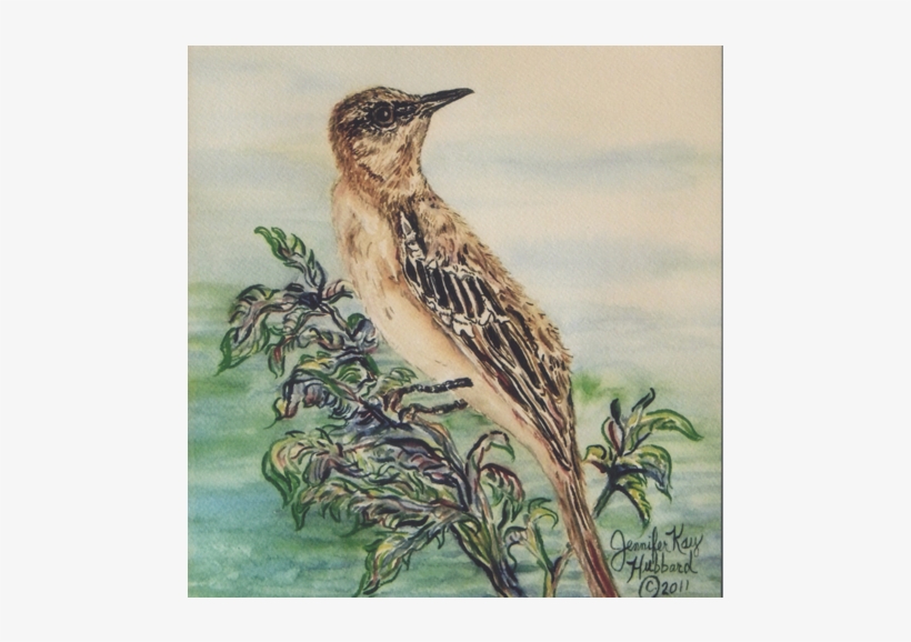 Bird, Artwork - American Tree Creeper PNG Image | Transparent PNG Free ...