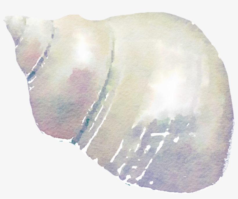 Banner Royalty Free Download Free To Use Png Seashell - Logo PNG Image ...