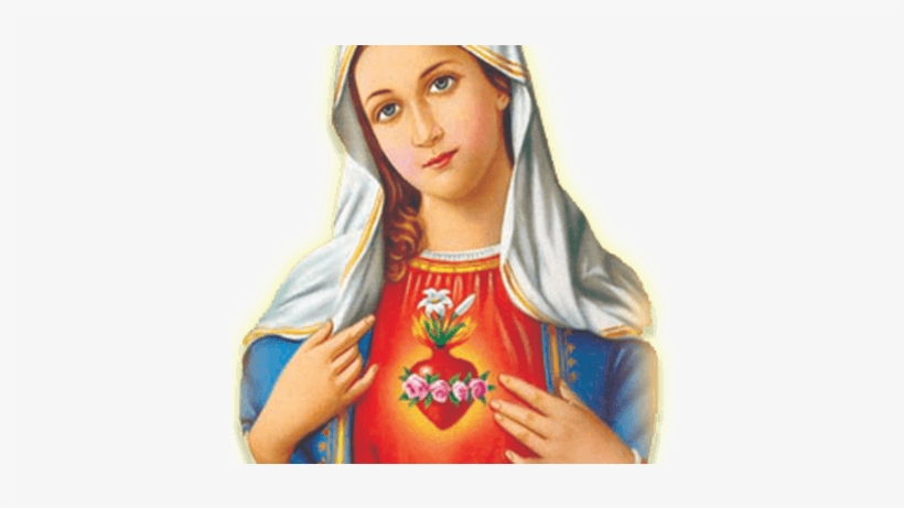 St Mary Heart - Virgin Mary Png PNG Image | Transparent PNG Free ...