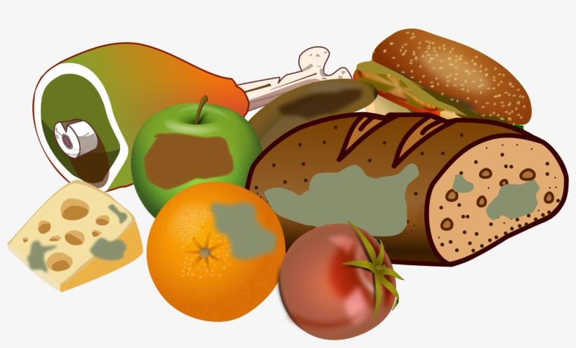 This Free Icons Png Design Of Wasting Food PNG Image | Transparent PNG ...