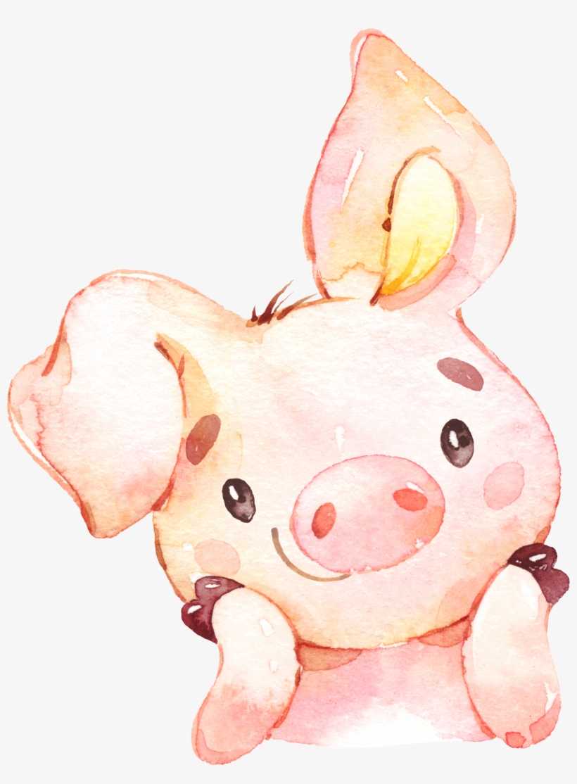 Teacup Pigs, Pig Drawing, Pig Illustration, Pig Art, - Drawing PNG ...