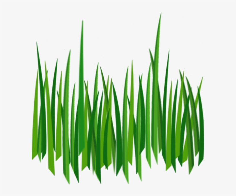 Download Cartoon Grass Transparent Background | Transparent PNG ...