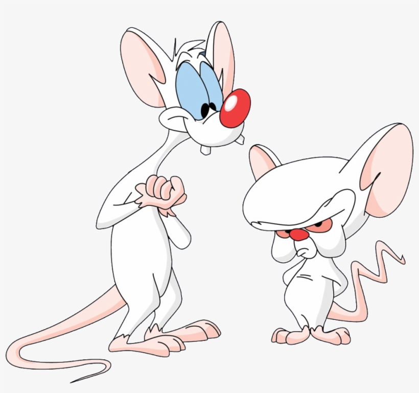 Pinky And The Brain Cartoon Characters