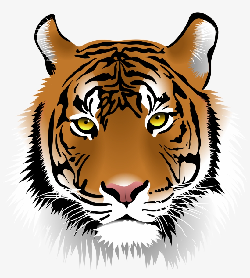 Tiger - Tiger Clip Art Free PNG Image | Transparent PNG Free Download on SeekPNG