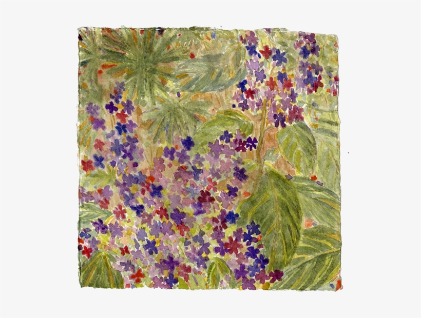 Watercolor - Still Life PNG Image | Transparent PNG Free Download on ...