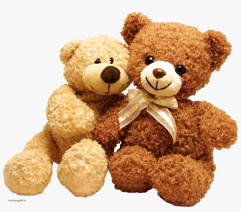 Two Cute Png Teddy Bears - Teddy Bear Png PNG Image | Transparent PNG ...