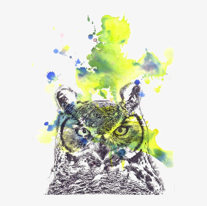 Owl Sloth Watercolor Painting - Owl PNG Image | Transparent PNG Free ...