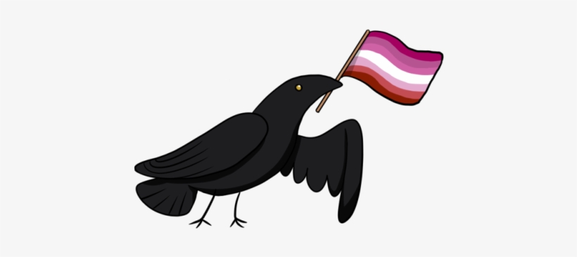 8 - Crows PNG Image | Transparent PNG Free Download on SeekPNG