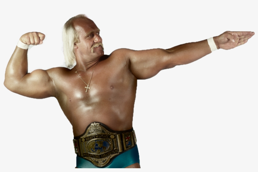 Hulk Hogan Png Clipart - Hulk Hogan Png PNG Image | Transparent PNG ...