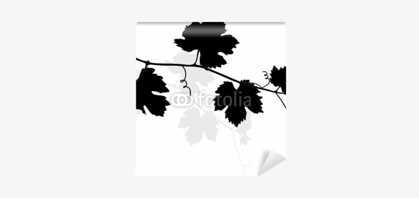 Download Black Vine Png - Vine Leaves | Transparent PNG Download | SeekPNG