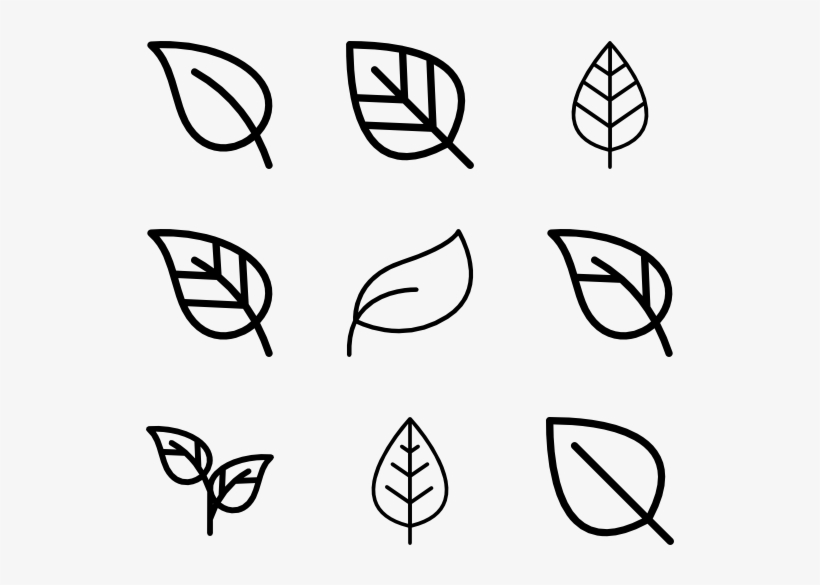 Leaf - Leaf Icon Black And White PNG Image | Transparent PNG Free ...