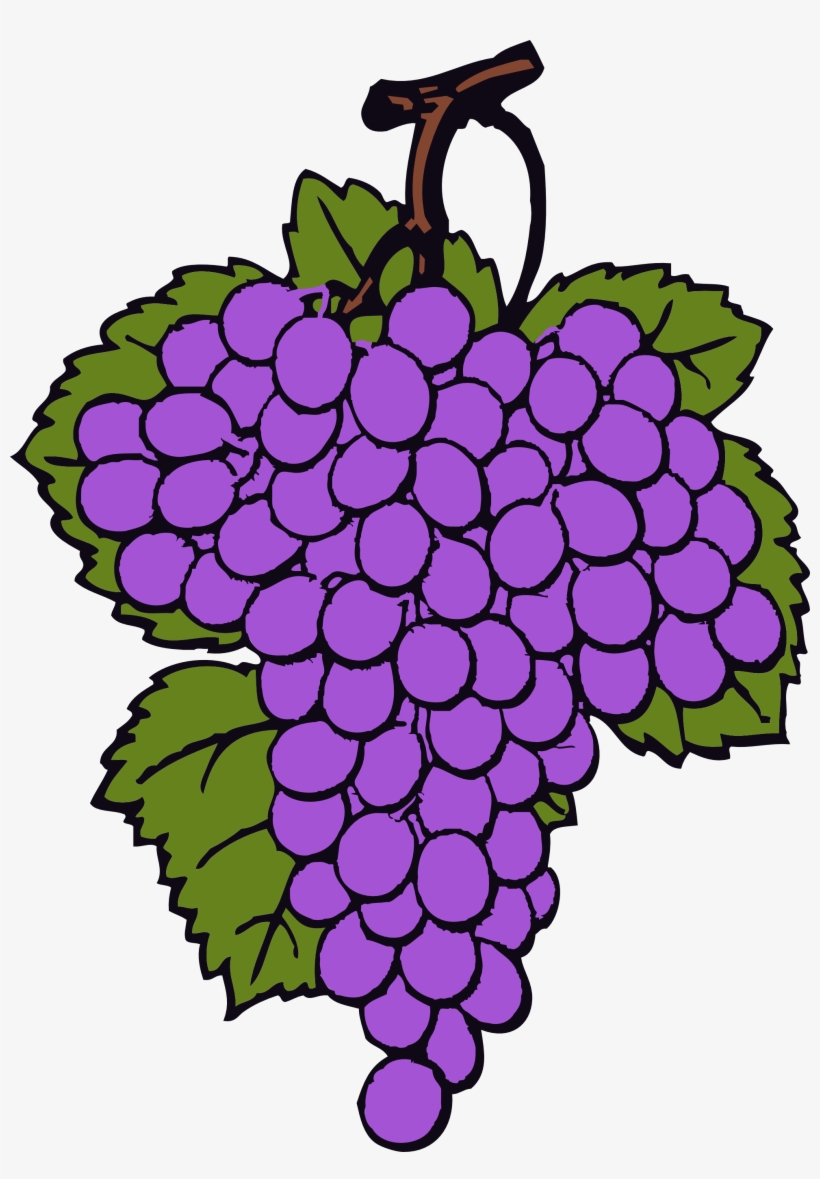 Purple Grape Clipart Images