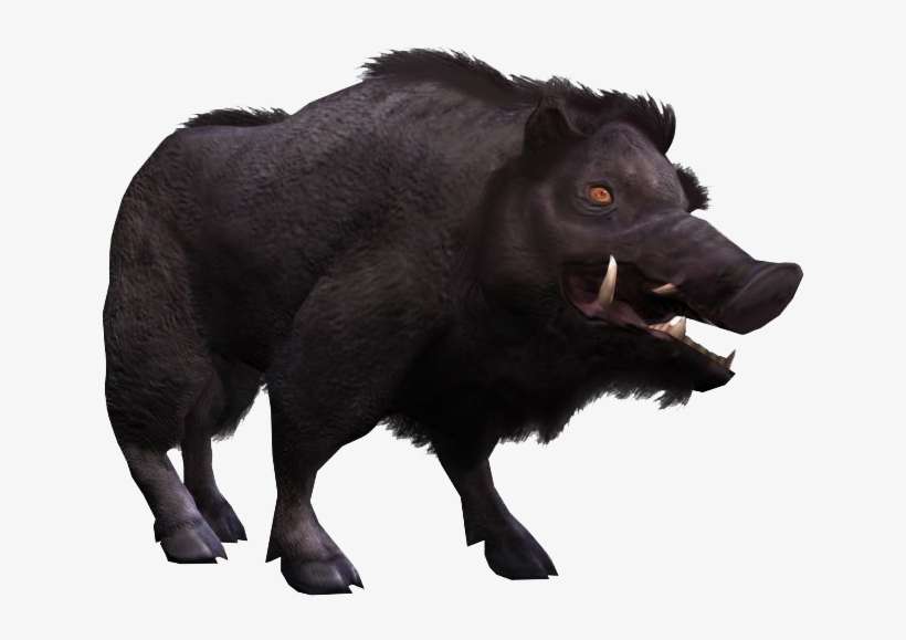 Wild Boar PNG Image | Transparent PNG Free Download on SeekPNG