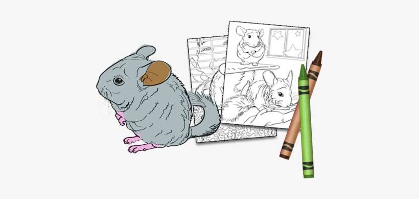 Download Activity Kit - Cartoon PNG Image | Transparent PNG Free ...