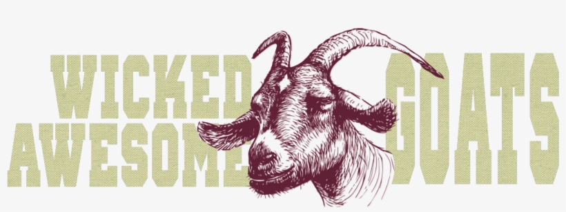 Wicked Awesome Goats - Goat PNG Image | Transparent PNG Free Download ...