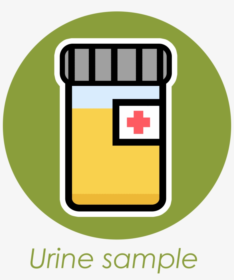 Download Urine-sample - Urine Sample Clip Art | Transparent PNG ...