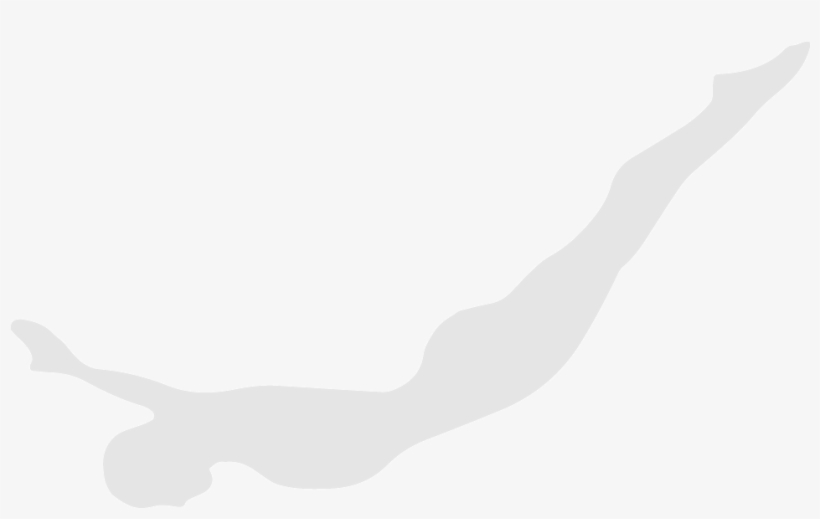 Swan-dive - Silhouette PNG Image | Transparent PNG Free Download on SeekPNG